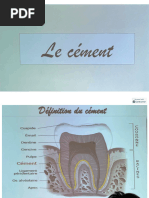 Dima Dima (SM 1ère Bac) | PDF