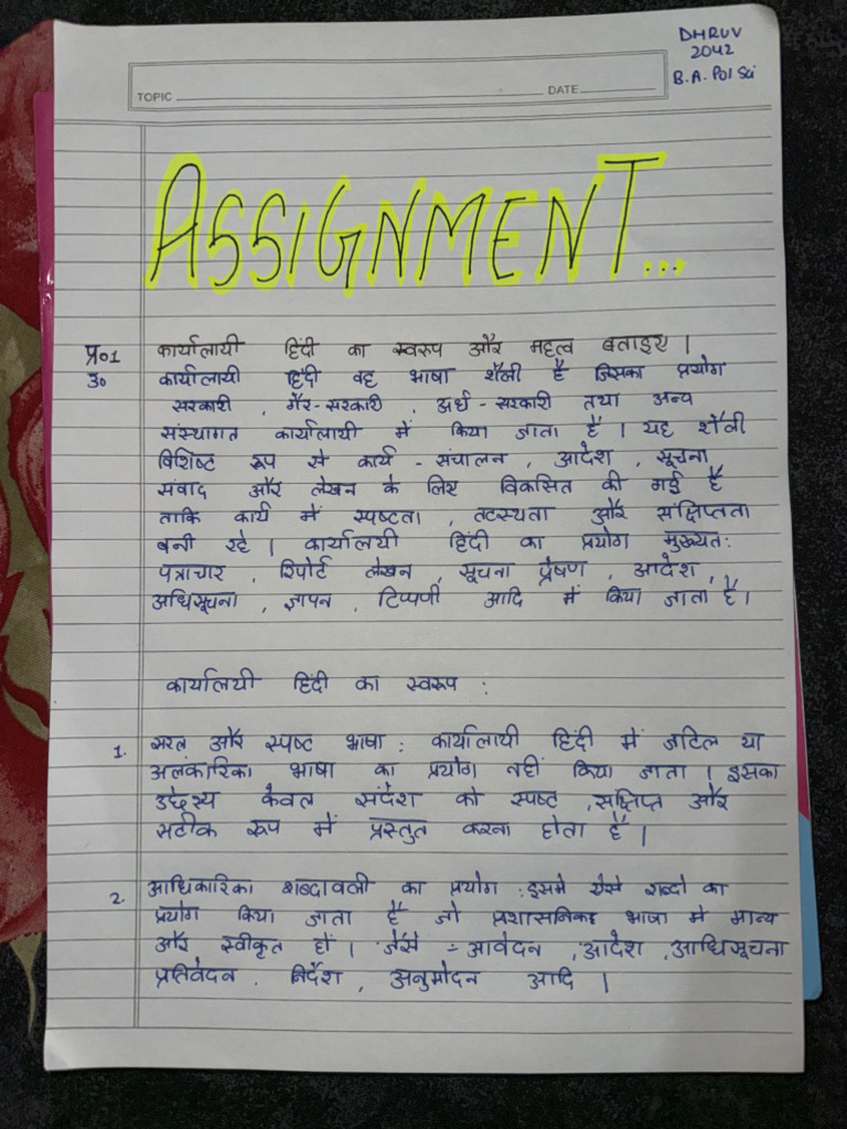 Assignment Hindi | PDF