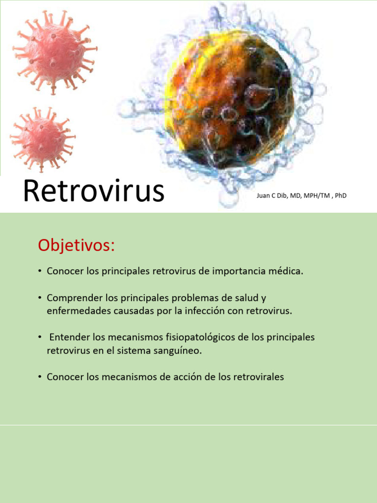 Retrovirus: Salud, Patogenia y VIH | PDF
