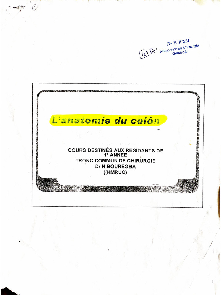 Anato Colon | PDF