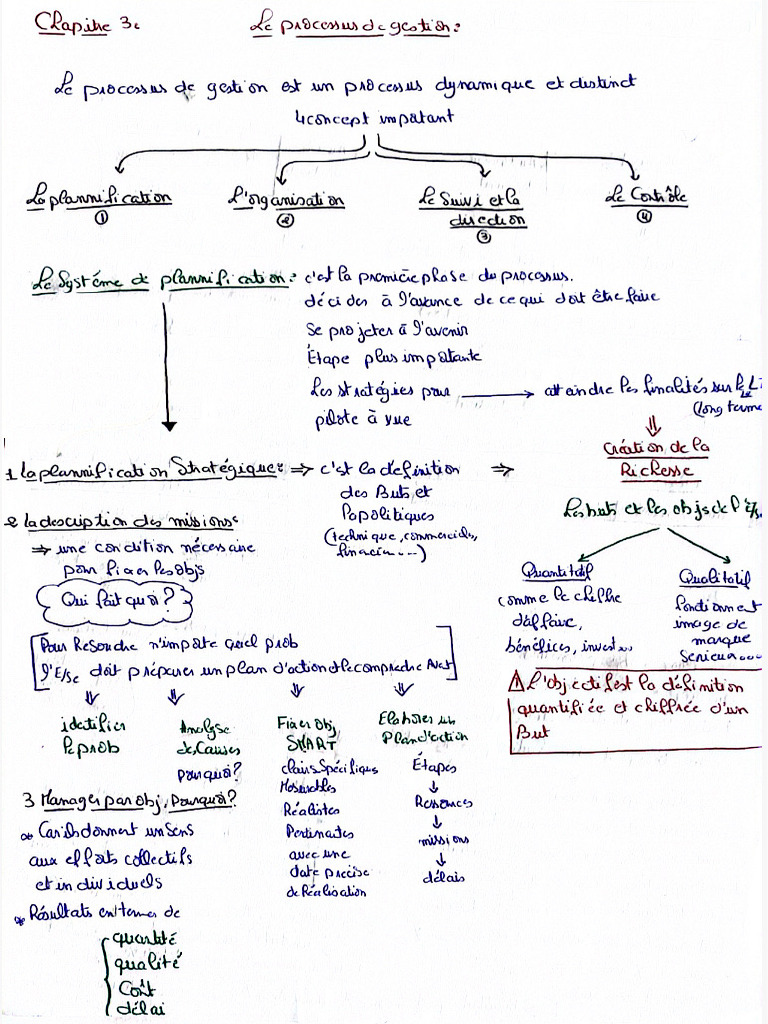 Management Chap3 | PDF