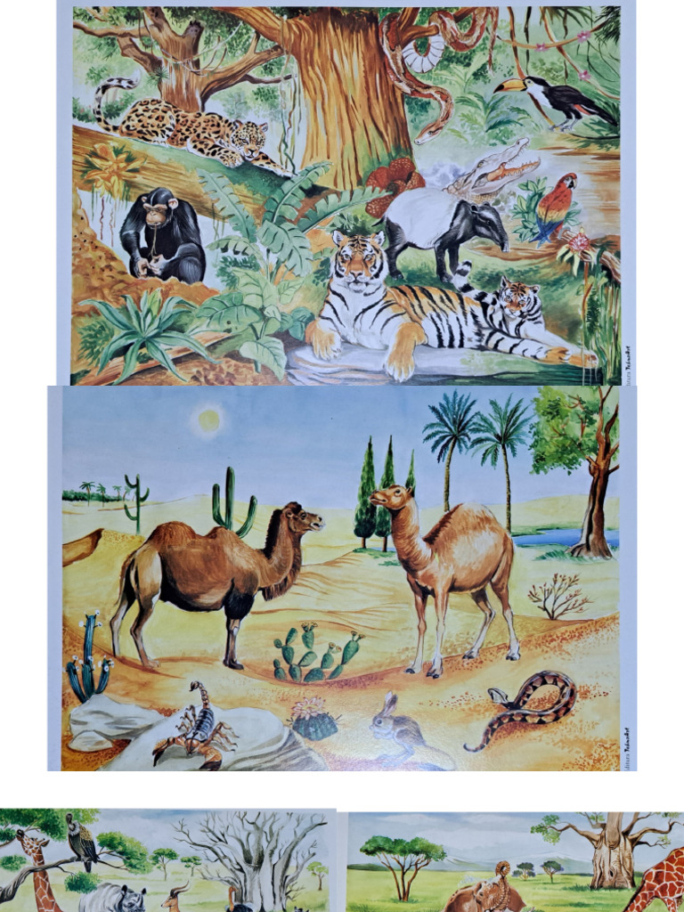 Calatorie in Tarile Calde | PDF