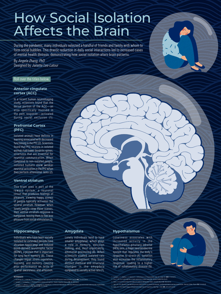 Impact of Social Isolation on Brain Health | PDF | Prefrontal Cortex ...