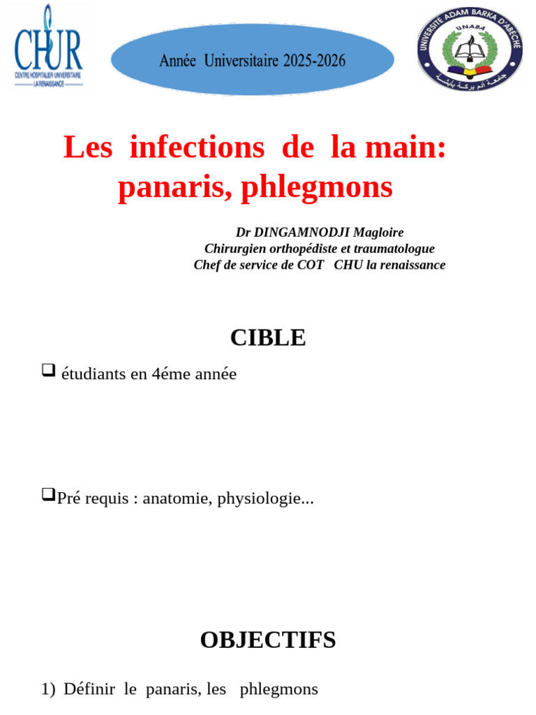 Infections de la main : Panaris et Phlegmons | PDF | Main | Maladies et ...