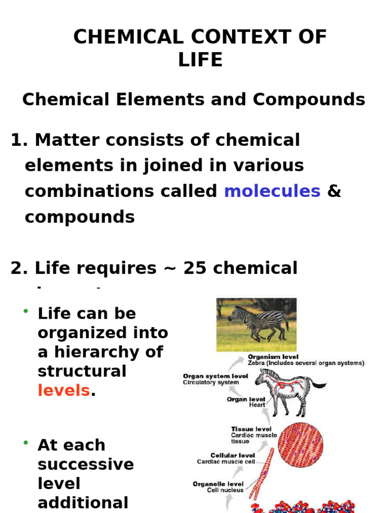 Essential Chemical Elements for Life | PDF