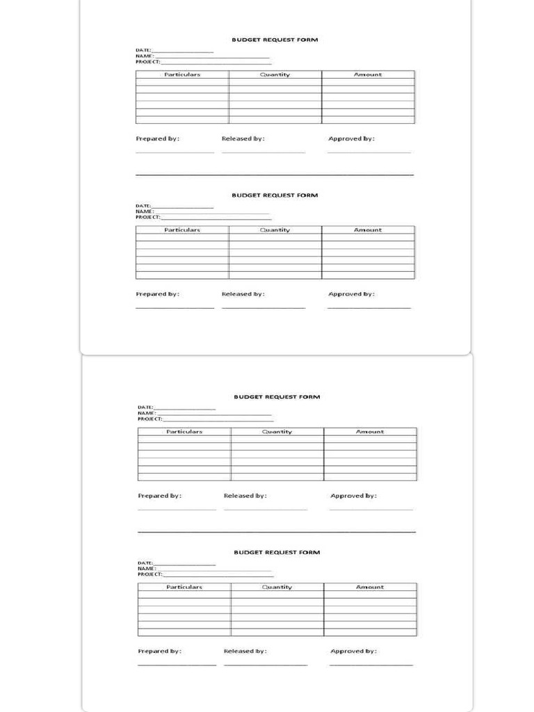 Budget Slip | PDF
