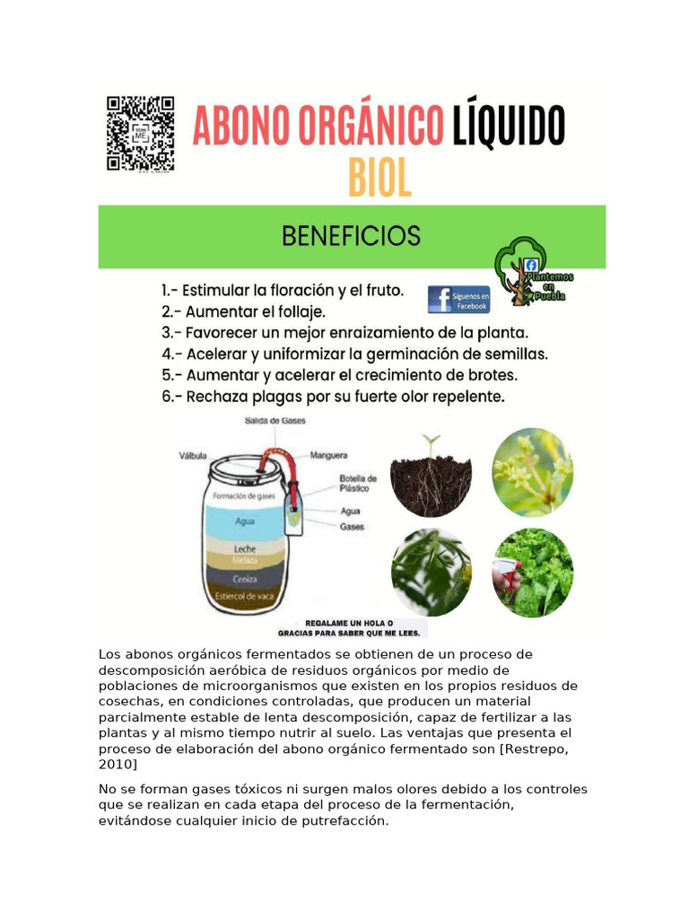 BIOL | PDF | Fermentación | Compost