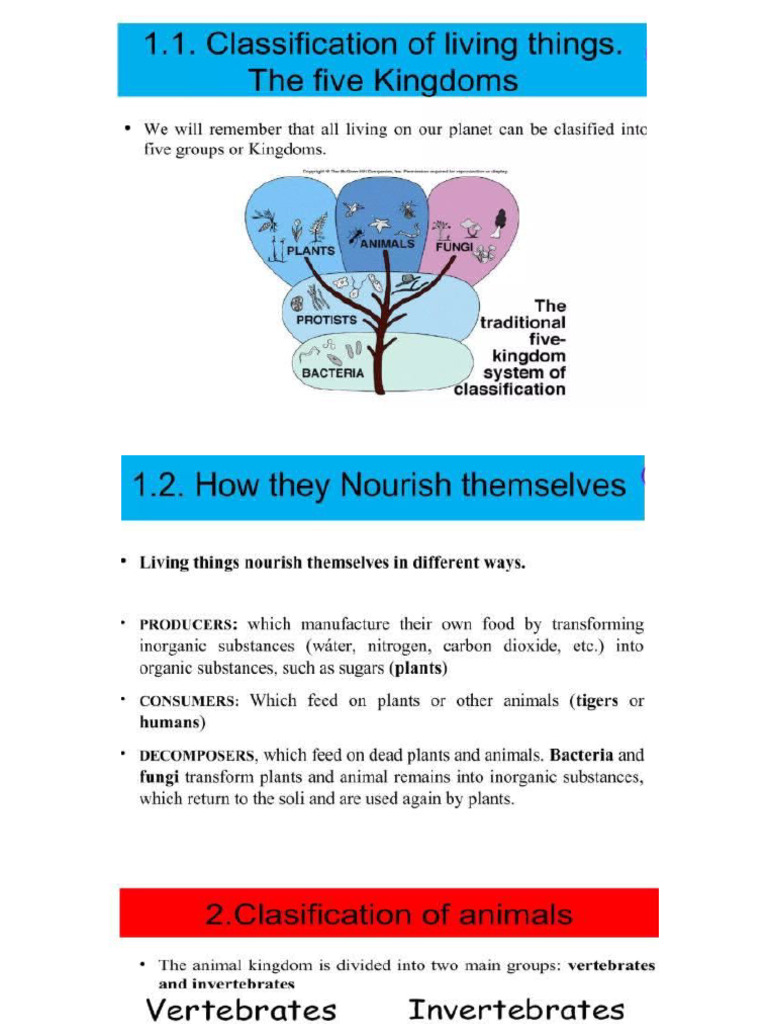 Classification of Animals | PDF