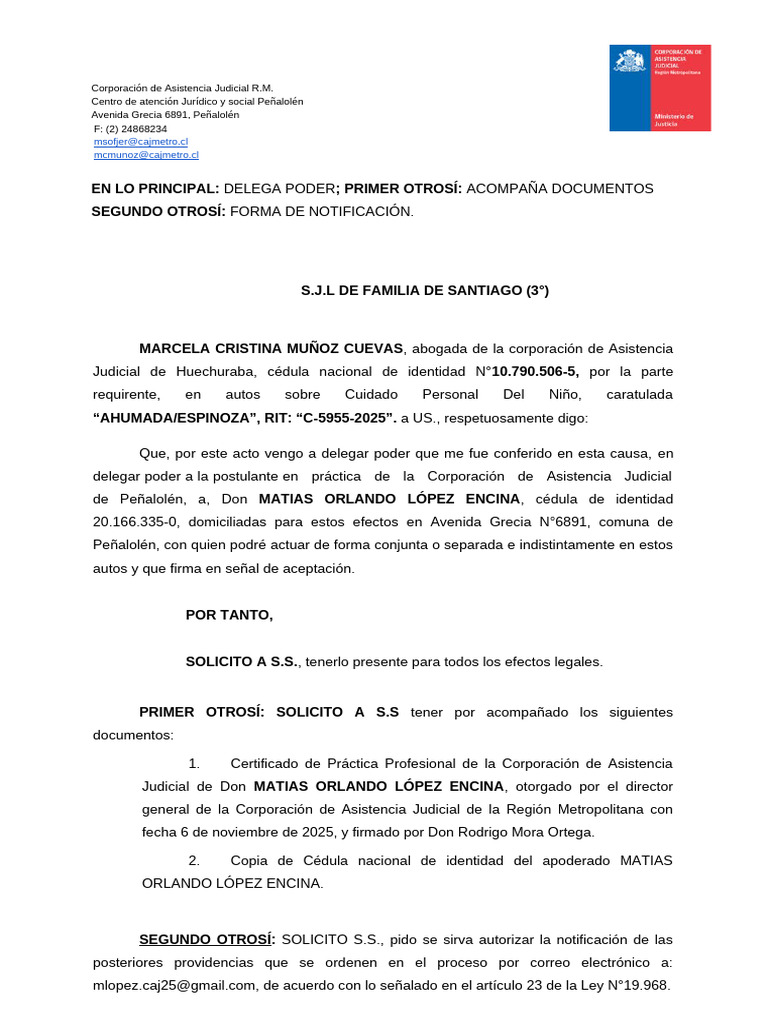 Delega Poder C 5955 2025 | PDF