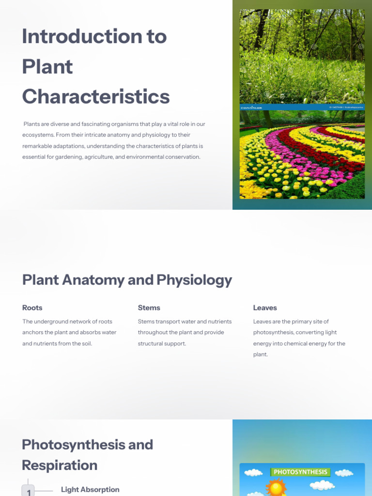 Lect 3 Plants Characteristics | PDF | Soil | Fertilizer