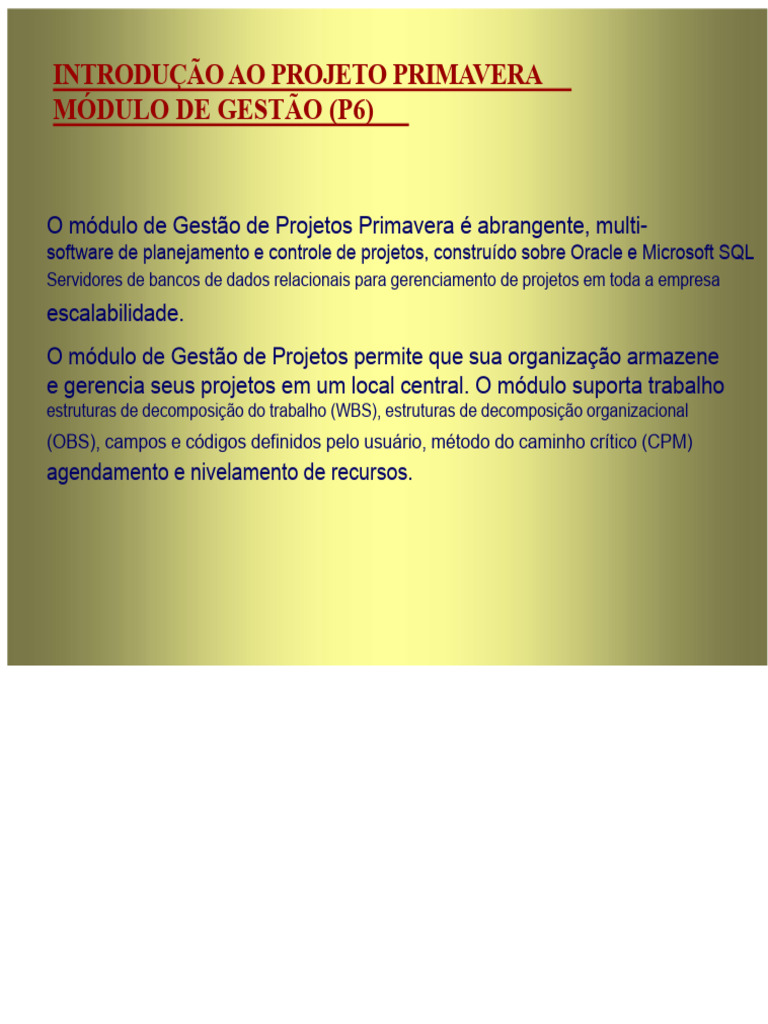 Gestão de Projetos com Primavera P6 | PDF | Gestão de projetos | Business