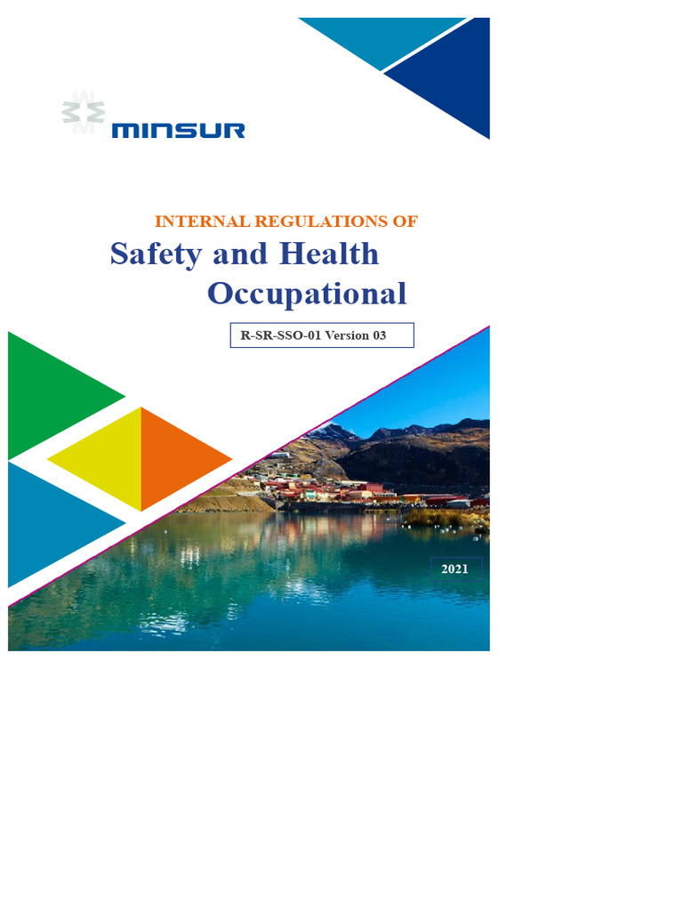 Internal Regulation of SSO 2021 (VR 3) | PDF | Occupational Safety And ...