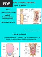 Anatomia do Peritônio e Cavidade Peritoneal | PDF | Peritônio | Corpo ...