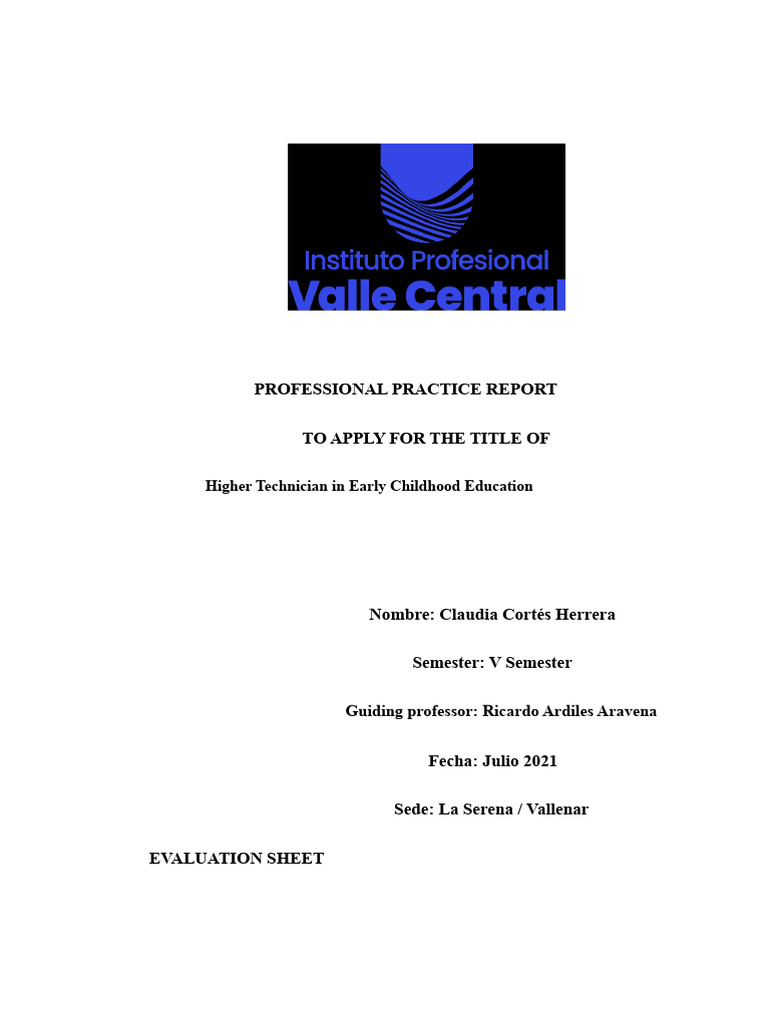 PROFESSIONAL PRACTICE REPORT | PDF | Hygiene | Creativity