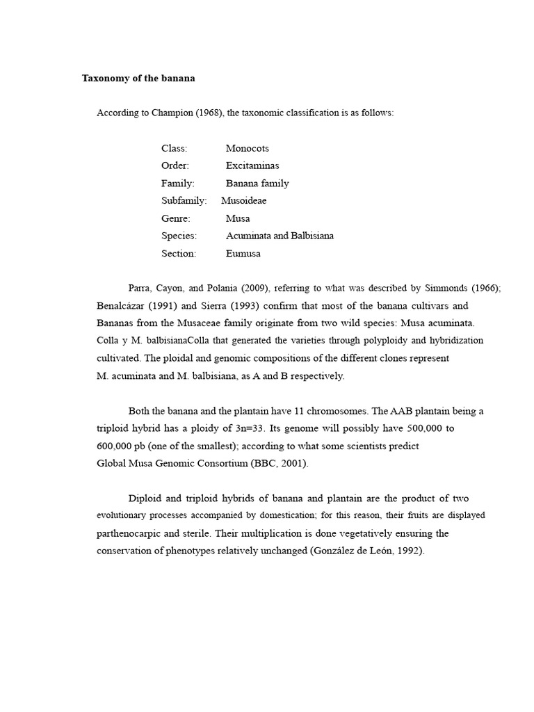 Taxonomy of the banana.docx | PDF | Banana | Botany