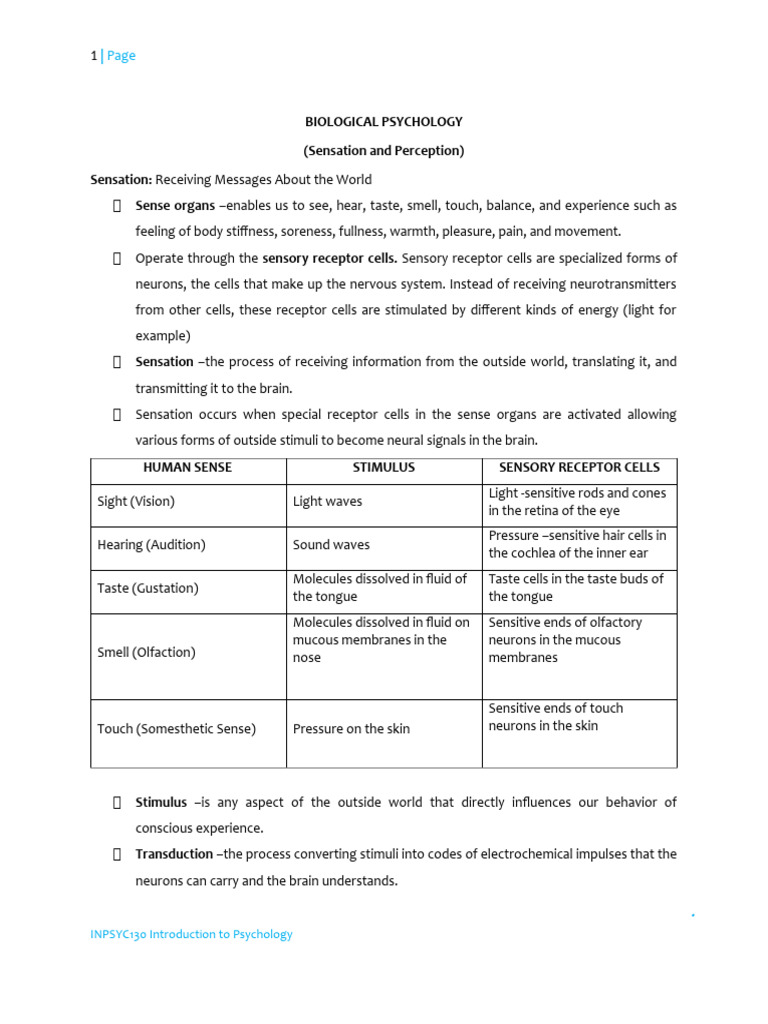 Unit 3. Sensation and Perception | PDF | Senses | Hearing