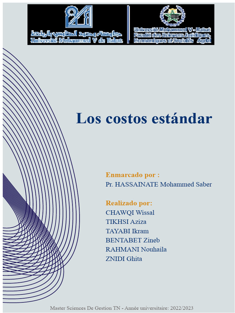 Los Costos Estándar MSDG TN | PDF | Presupuesto | Marketing