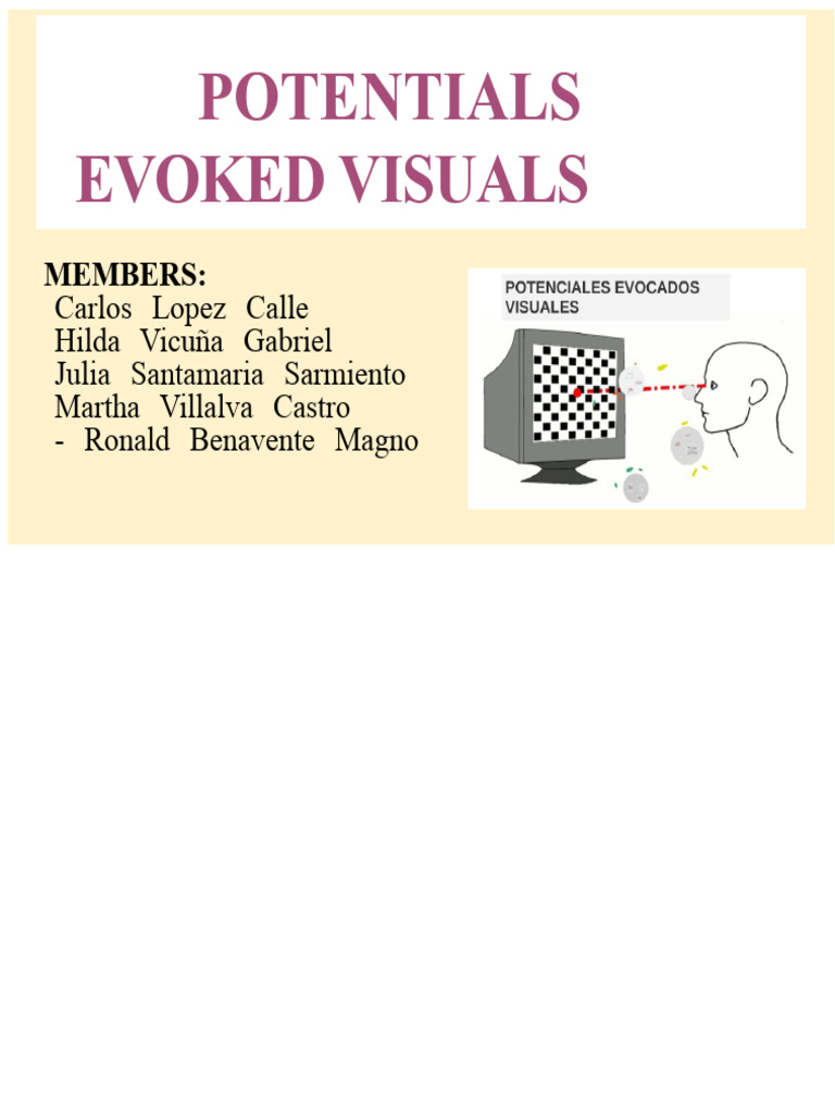 PEV - Evoked Visual Potentials | PDF | Visual System | Neuroscience