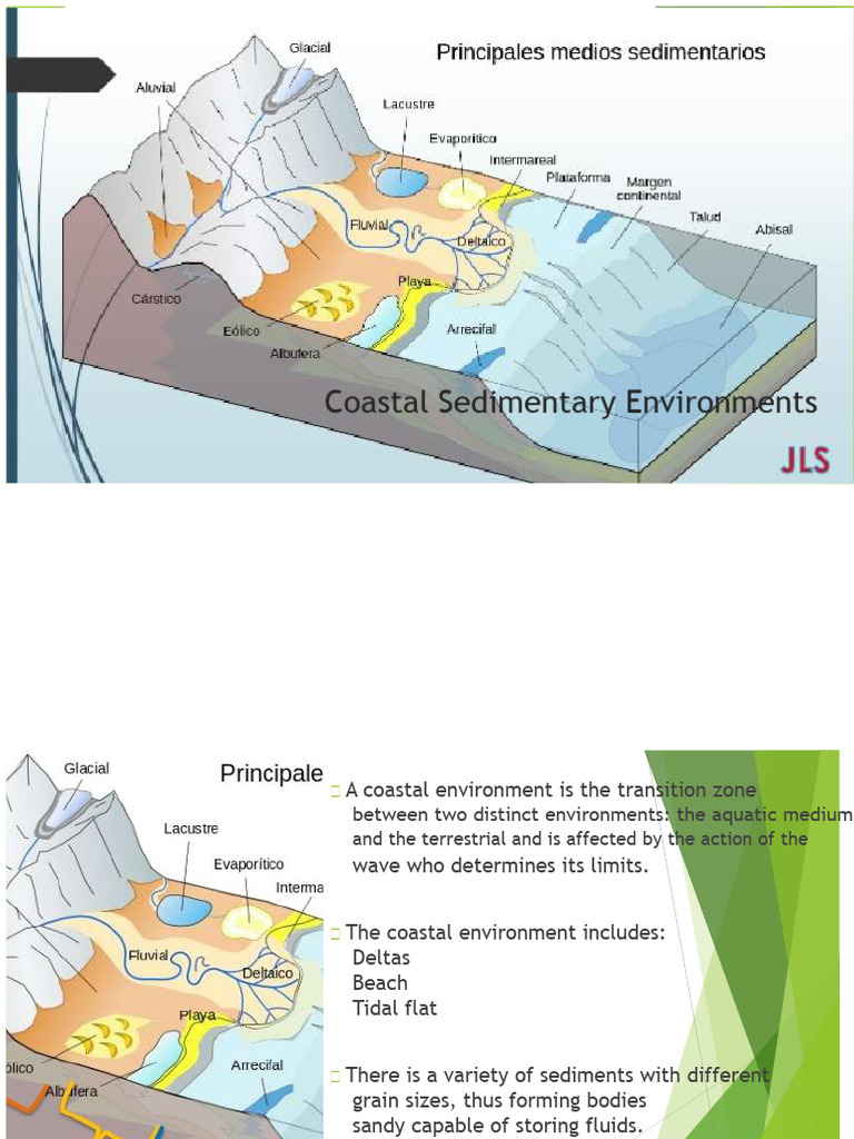 Understanding Coastal Sedimentary Environments | PDF