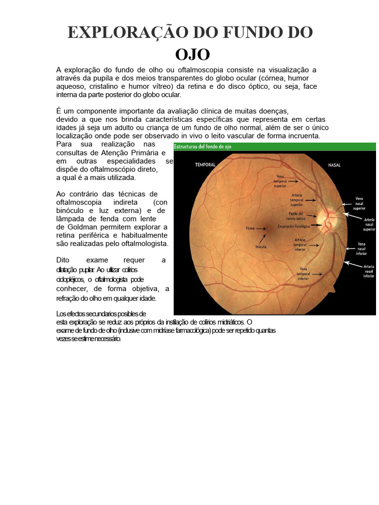 Exploração do Fundo de Olho: Guia Completo | PDF | Olho | Ótica
