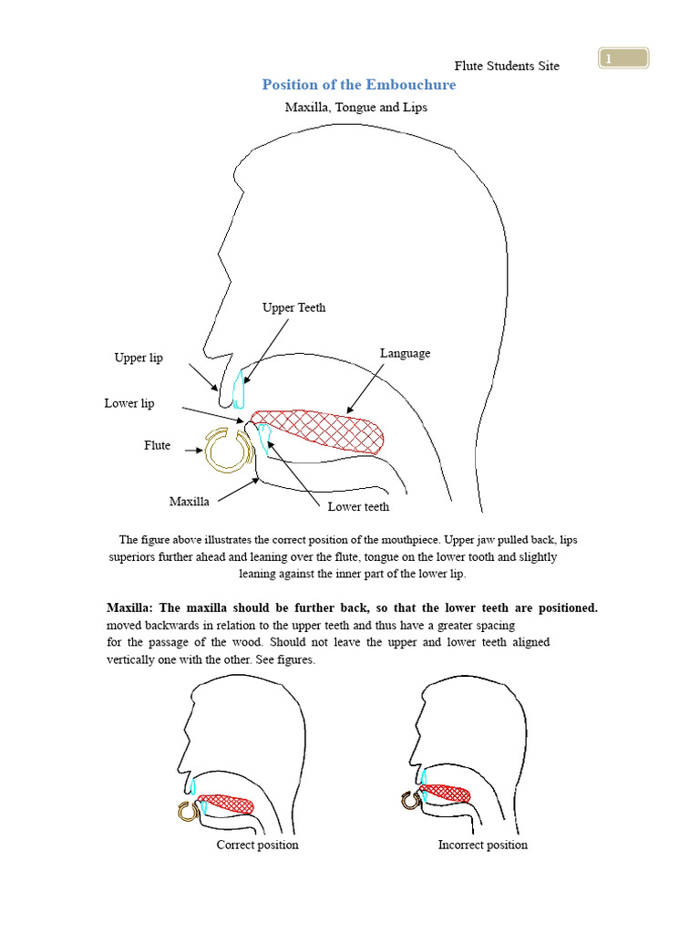 Position of the Mouthpiece | PDF