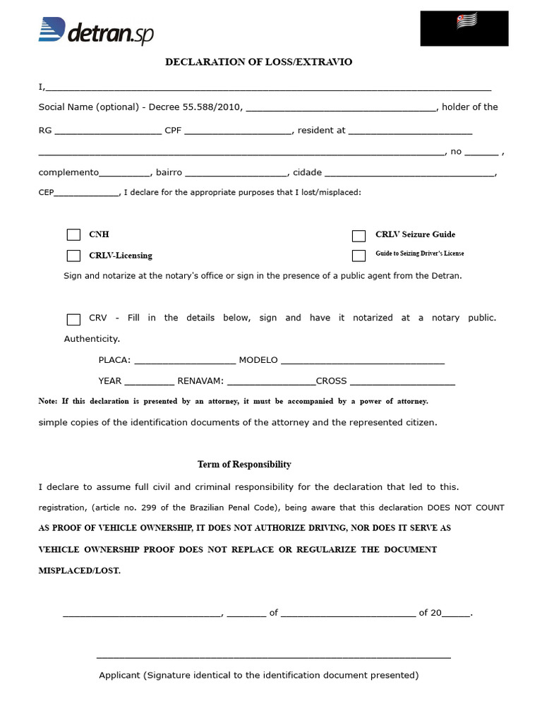 Declaration of Lost Vehicle Documents | PDF