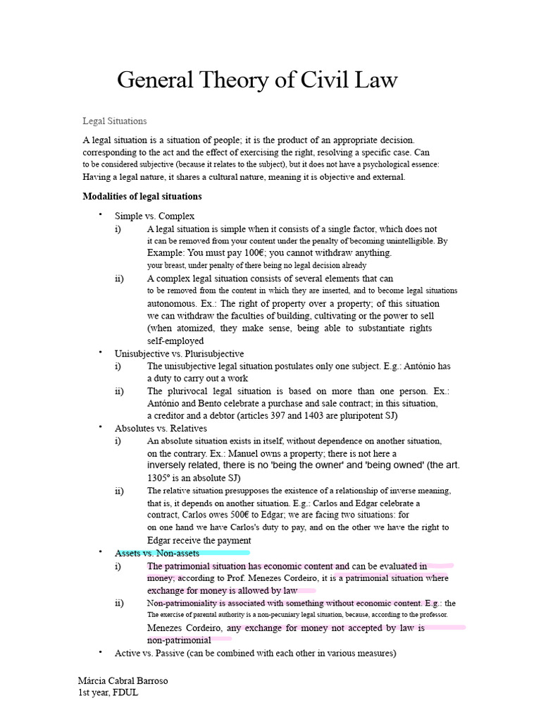 Legal Situations in Civil Law Theory | PDF | Domicile (Law) | Justice