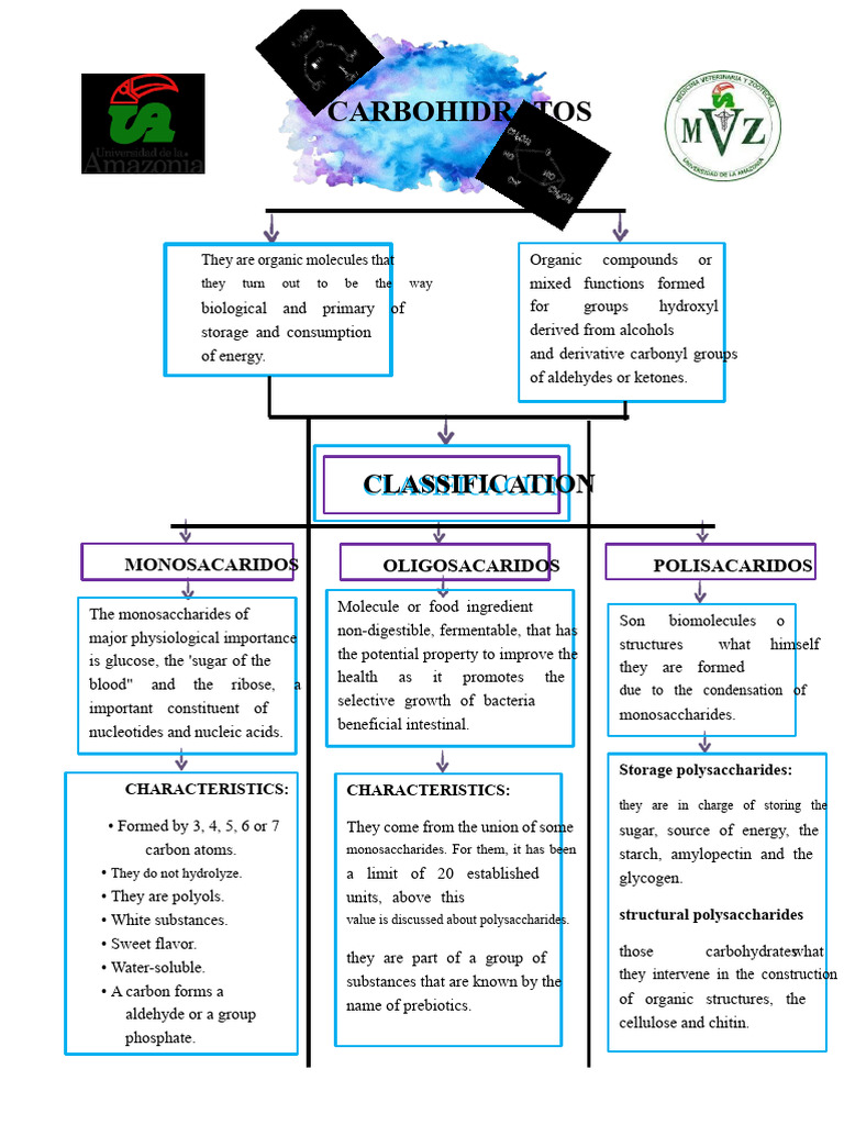 CARBOHYDRATES - CONCEPT MAP....pdf | PDF | Carbohydrates | Polysaccharide