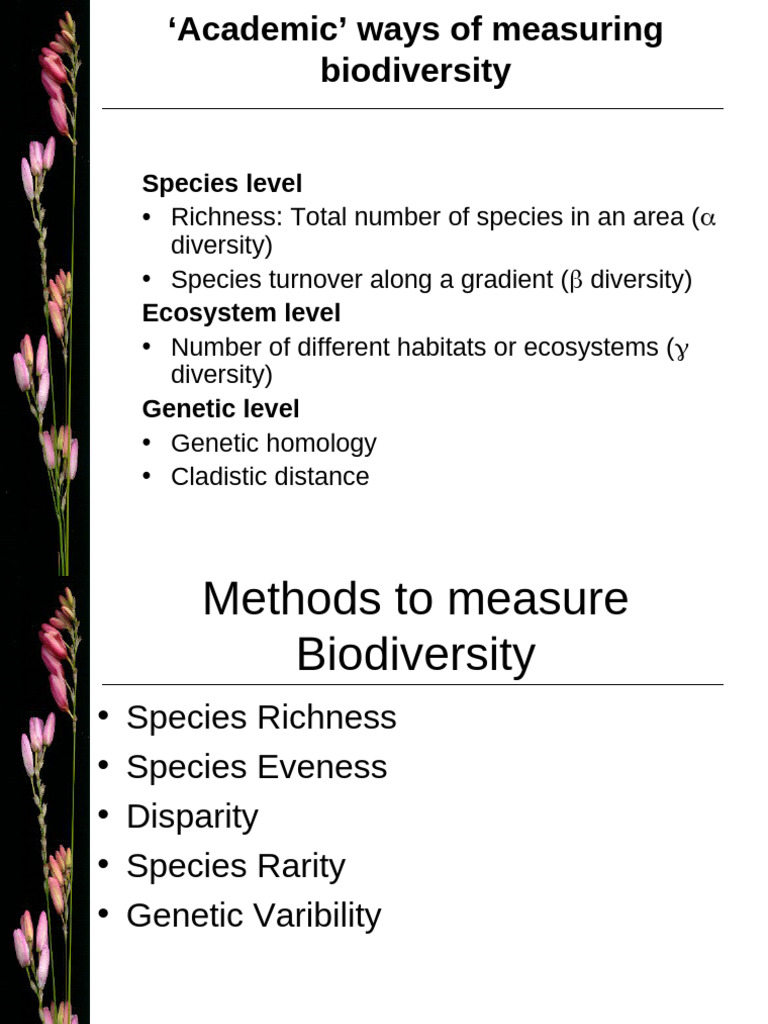 Measuring Biodiversity: Methods Explained | PDF | Biodiversity | Species