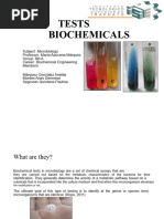 Citrobacter freundii Biochemical Profile | PDF | Microbiology