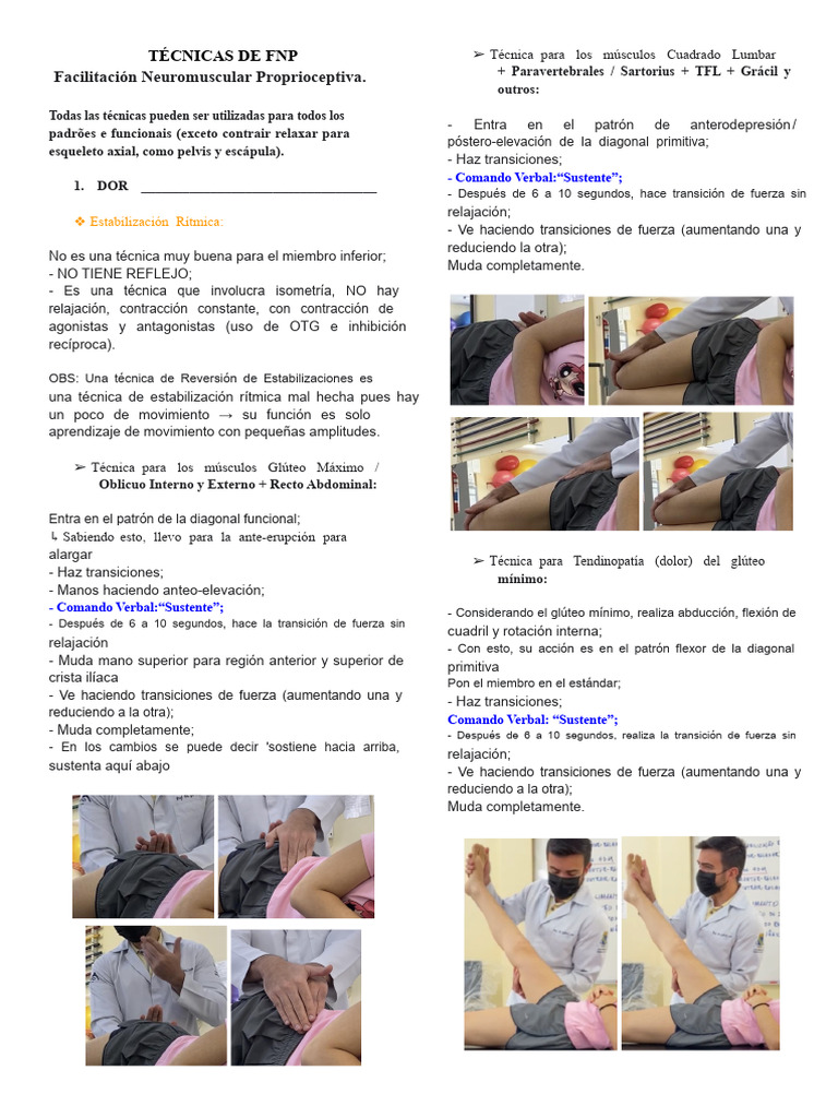 Técnicas de FNP para Músculos Específicos | PDF | Contracción muscular ...