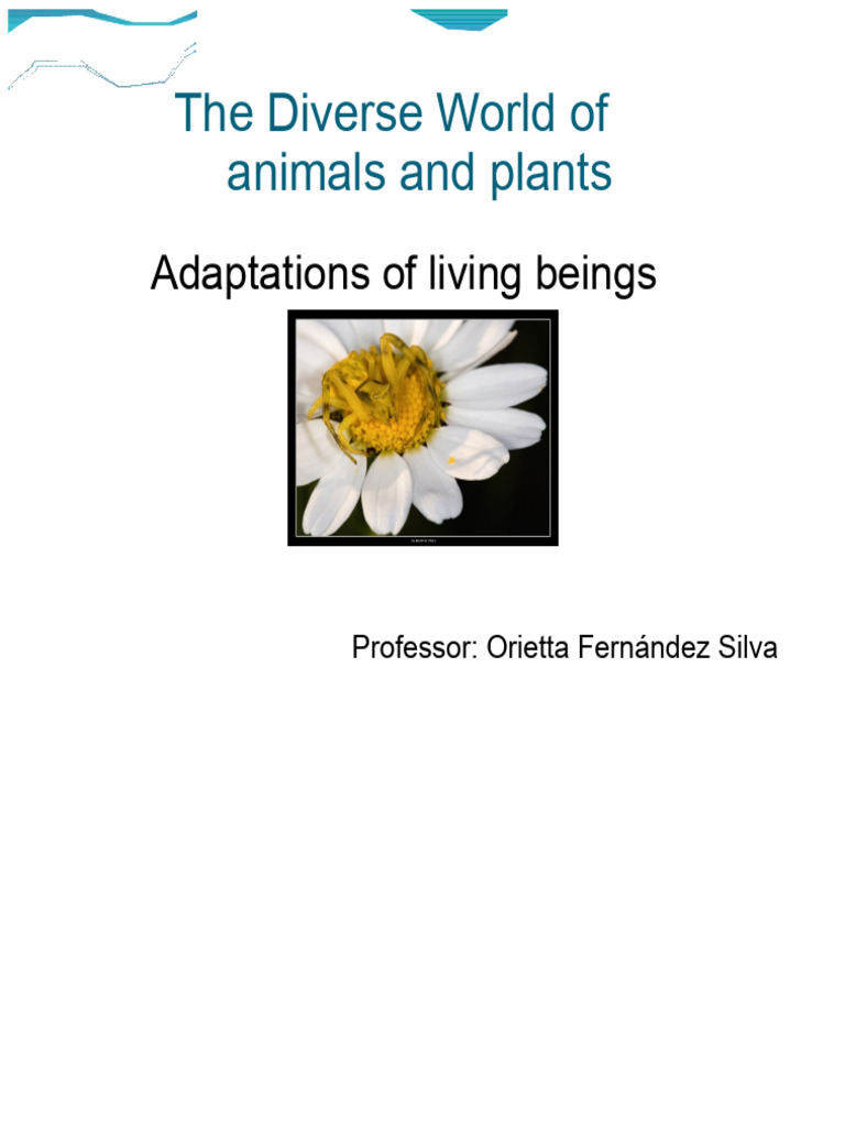 Adaptations of Living Beings | PDF | Mimicry | Plants