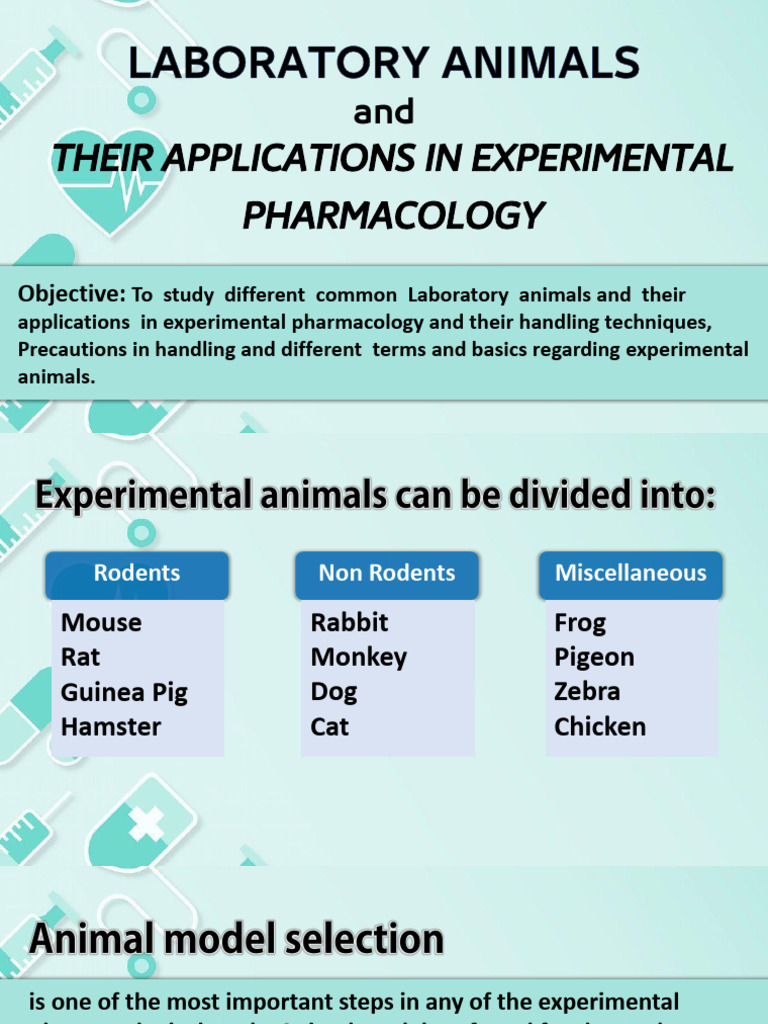 Animals Handling | PDF
