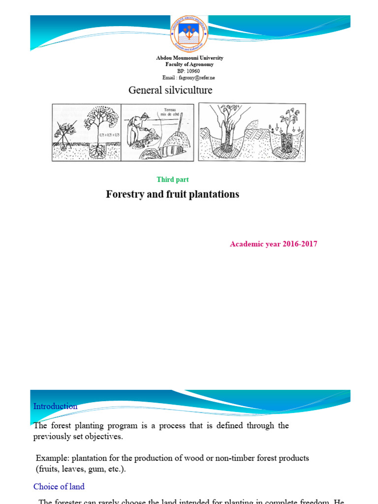 Forestry Planting Techniques Guide | PDF | Rain | Soil
