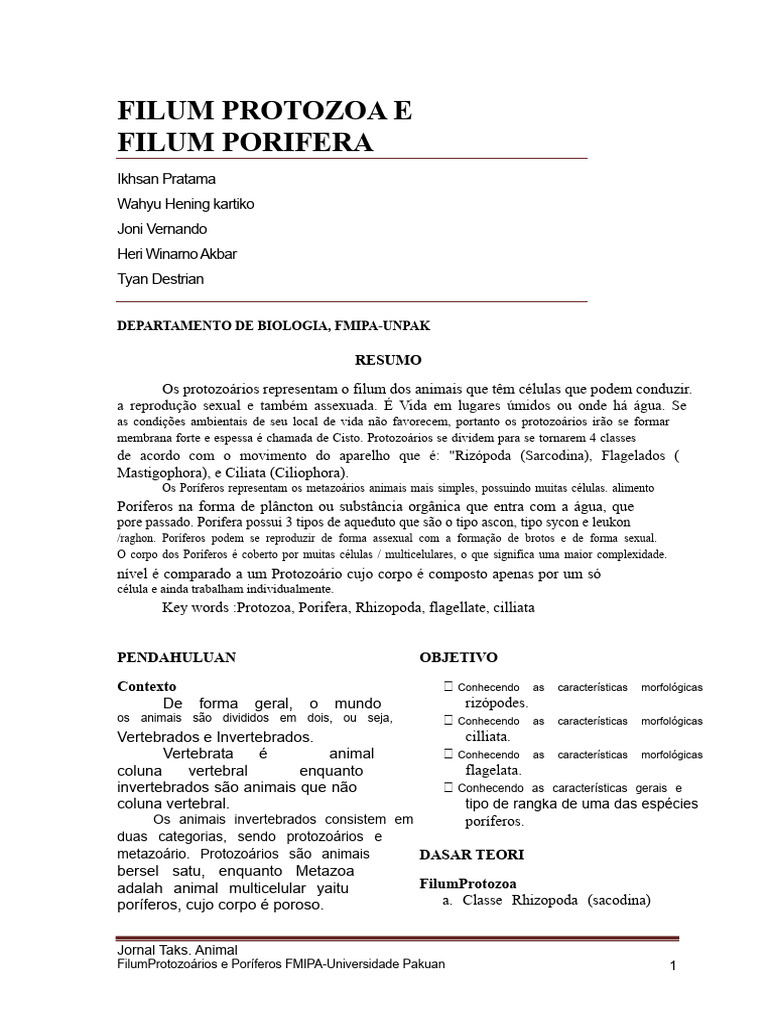 Protozoários e Poríferos: Morfologia e Classificação | PDF ...