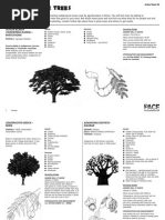 Tree Species in Uganda | PDF | Trees | Plants