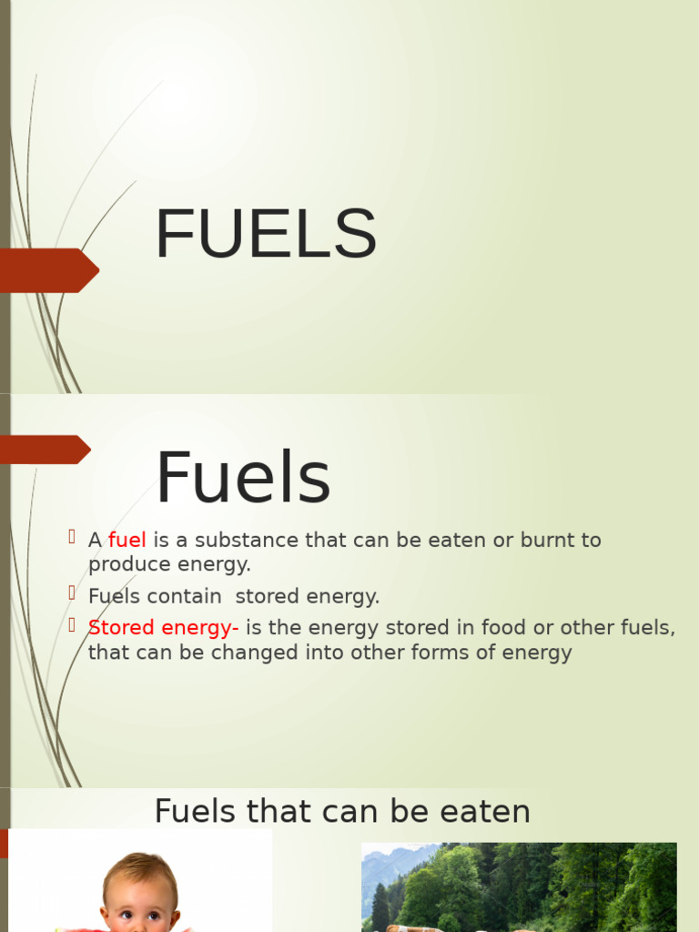 FUELS -Grade 5 | PDF