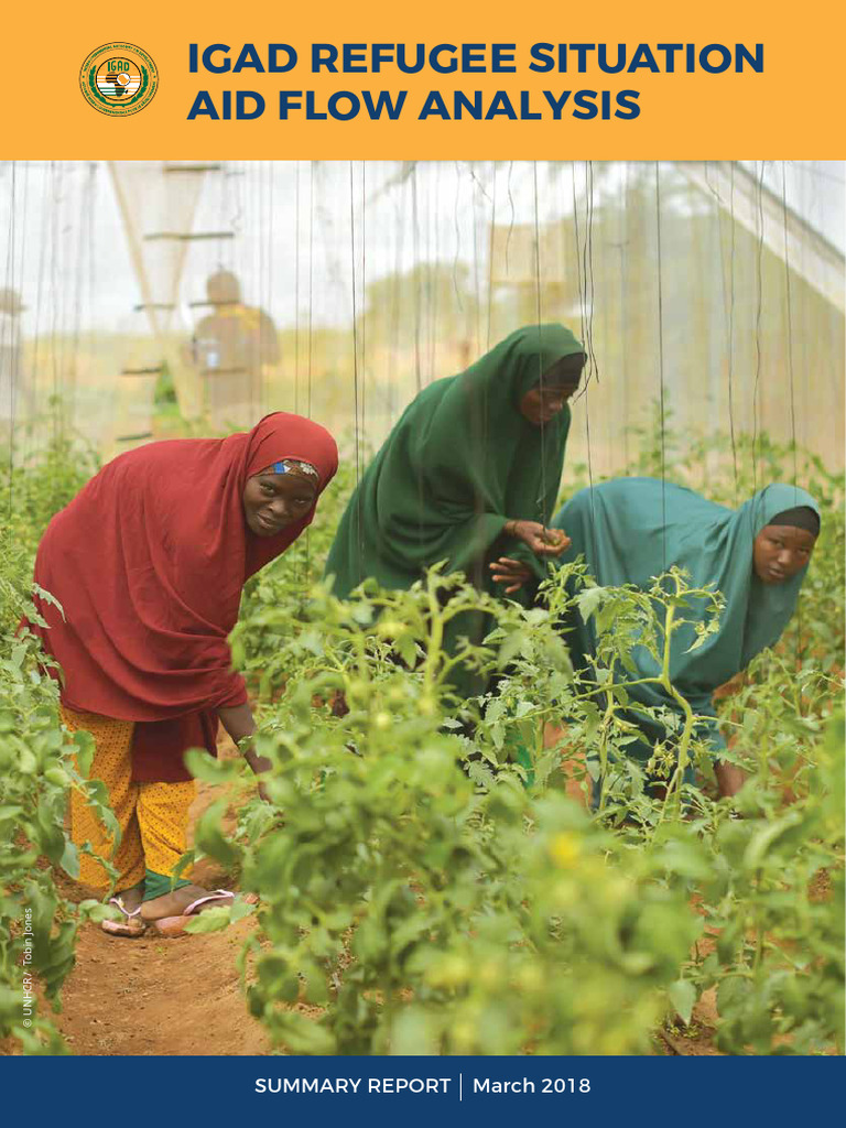 19 IGAD Summary Report V2 Low-Res | PDF | United Nations High ...