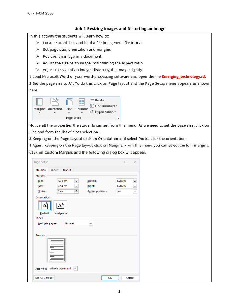 IT-CM 2303 Job Sheet_Activity | PDF | Computer File | Spreadsheet