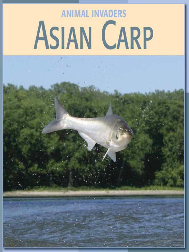 Asian Carp: Invasive Species Impact | PDF | Fish