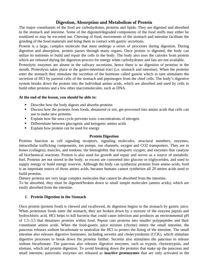 Note On Digestion of Protein 2021 | PDF | Digestion | Proteins