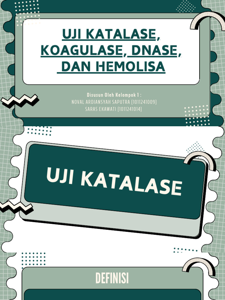 Uji Katalase, Koagulase, DNase, Hemolisis | PDF