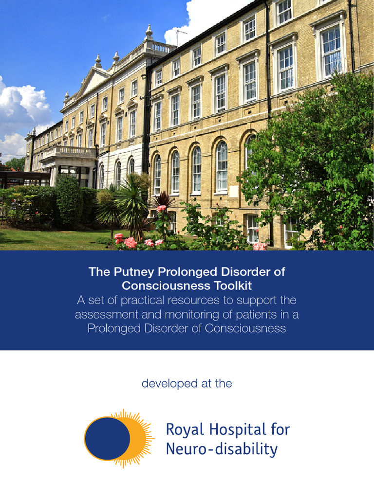 Putney-PDoC-toolkit-v1.0-WEB | PDF | Major Depressive Disorder ...