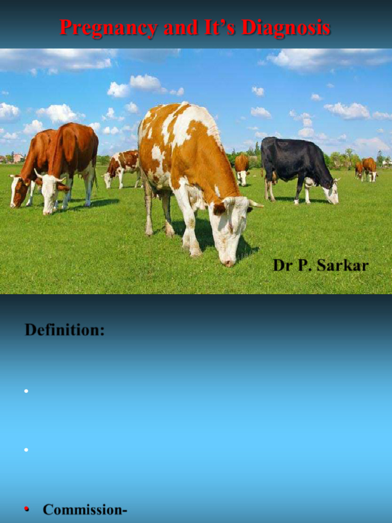 Pregnancy Diagnosis in Cow, Ewe and Doe | PDF | Uterus | Pregnancy