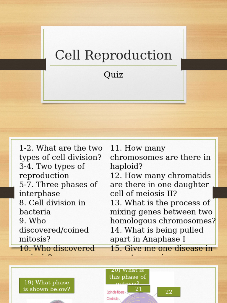 Cell Rep Quiz | PDF