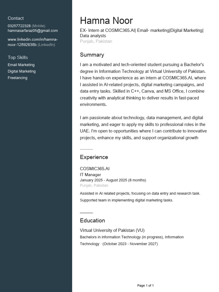 Hamna Noor: Digital Marketing Intern Profile | PDF