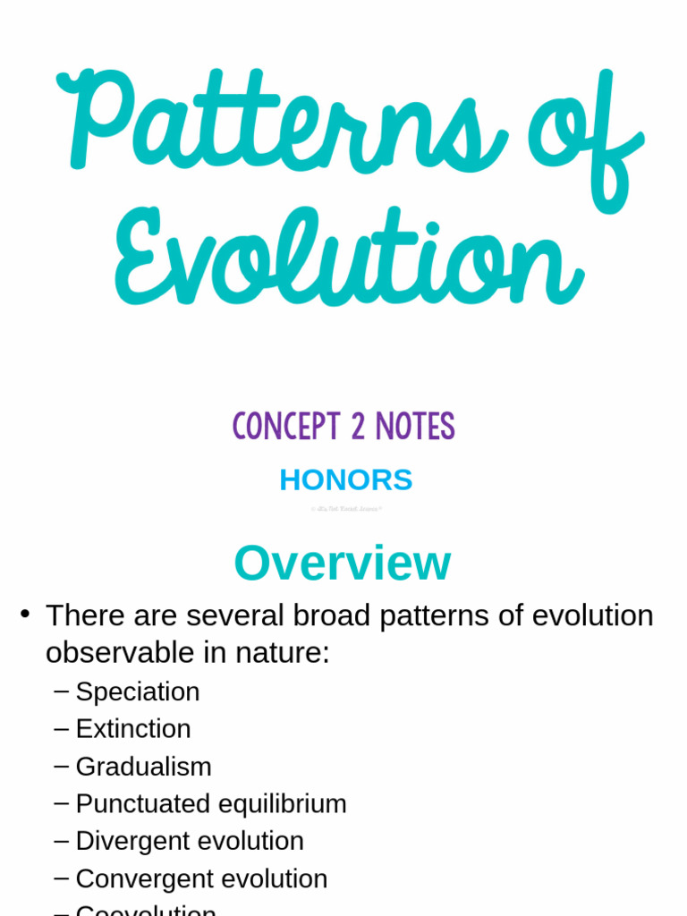 Honors Concept 2 Notes - Patterns of Evolution | PDF