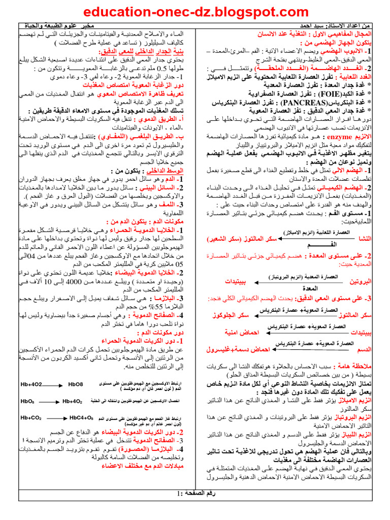 Dzexams Docs 4am 904519 | PDF