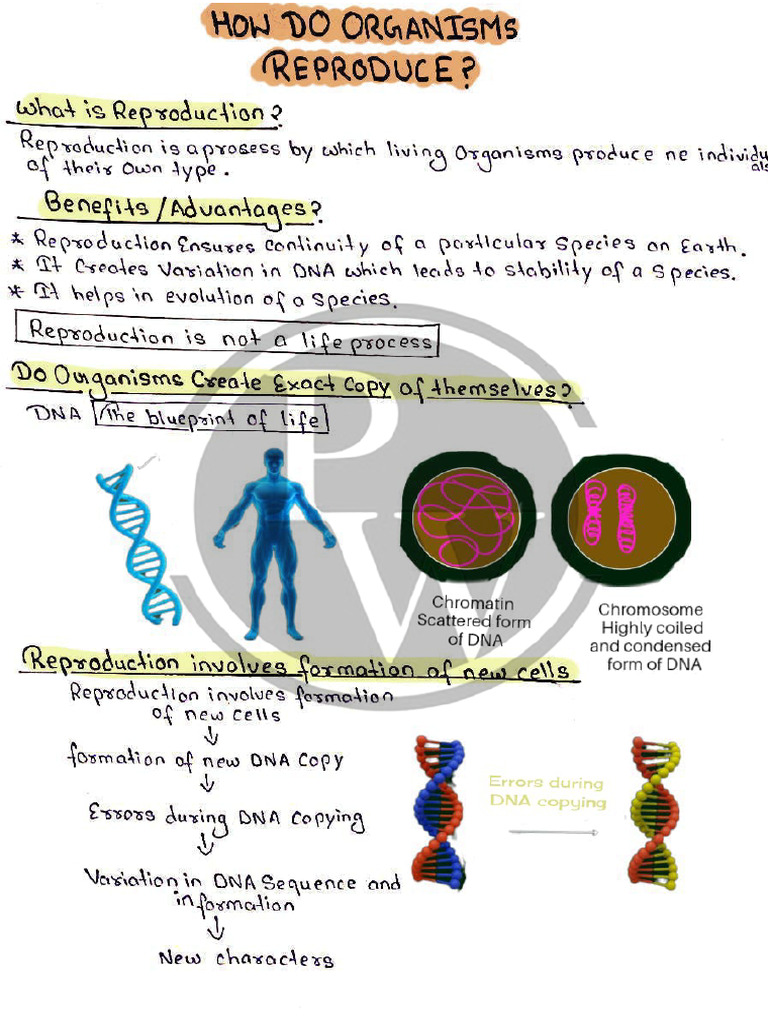 How Do Organisms Reproduce Hand Written Notes | PDF