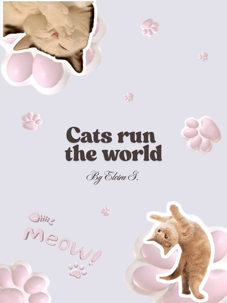 Exploring the Popularity of Cat Memes | PDF